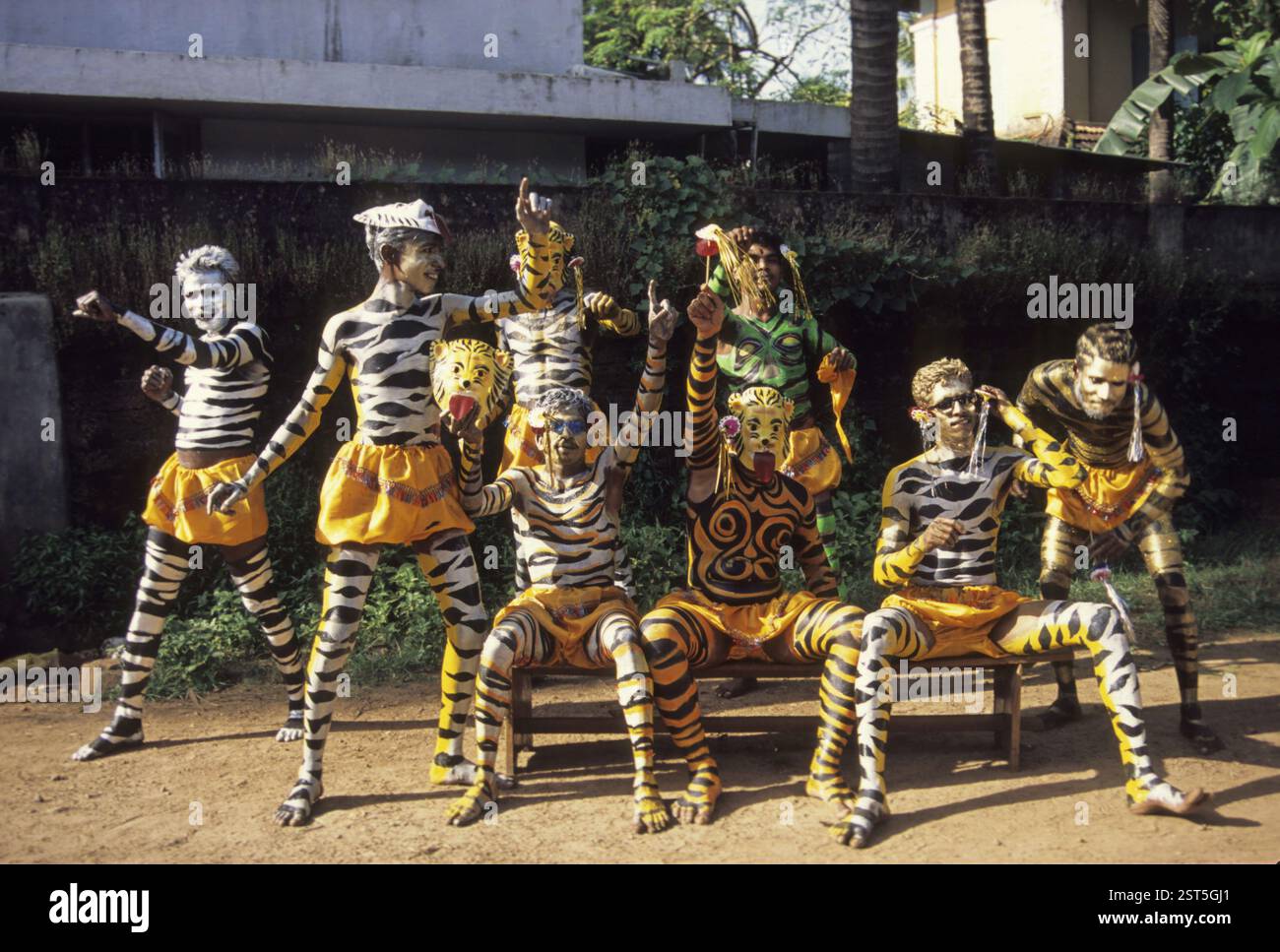 Puli (Tiger) Dancers in Pulikali Festival at Thrissur, Kerala, India ...