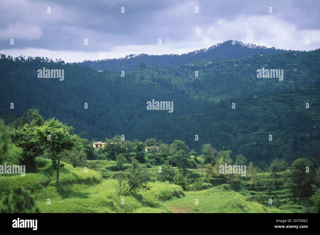 Life in highland, sitlakhet, uttaranchal, india Stock Photo - Alamy