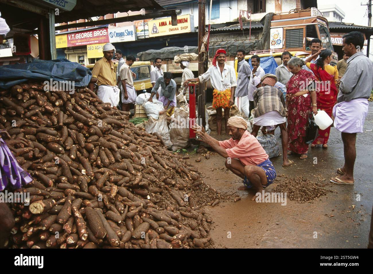 Tapioca kerala hi-res stock photography and images - Alamy