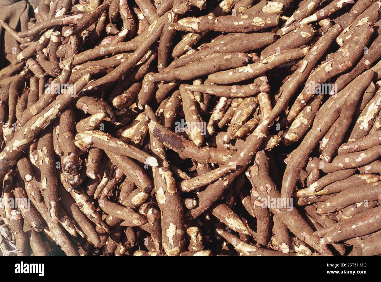 Tapioca sticks hi-res stock photography and images - Alamy