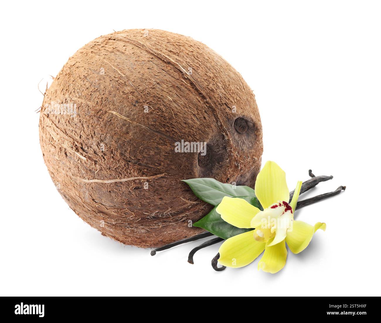 Coconut, vanilla pods and flower isolated on white Stock Photo - Alamy