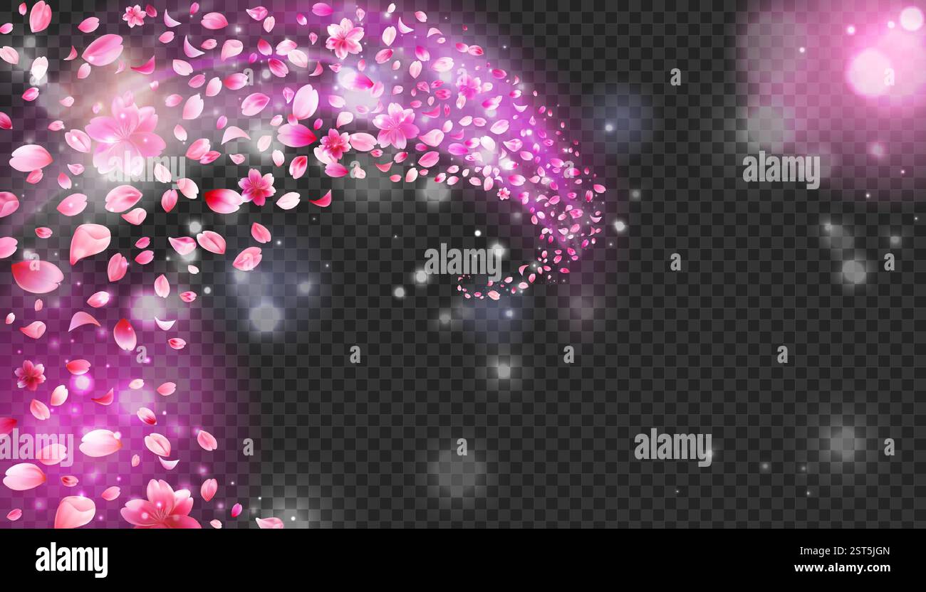 Pink Sakura Petals in a Swirling Wind Transparent Background Stock ...