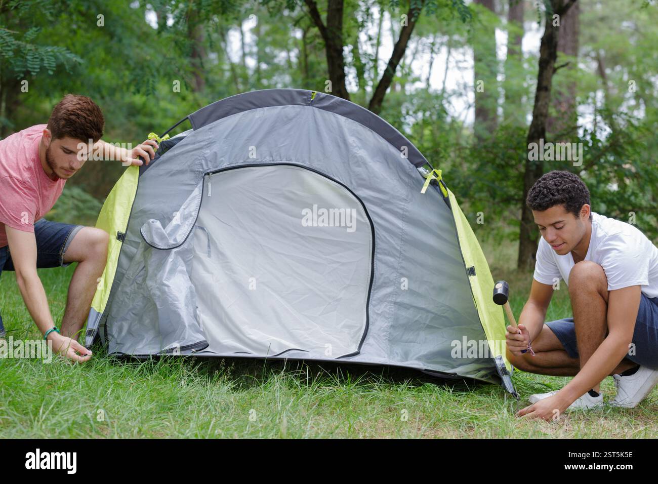 male friends setting up tent outdoors Stock Photo - Alamy