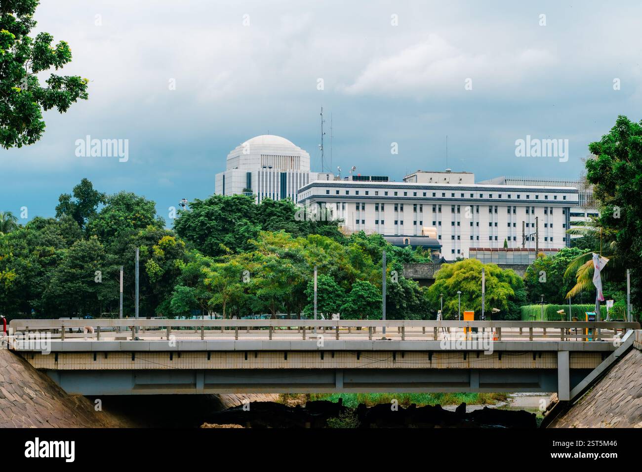 Amidst the towering buildings lies the beauty of nature, where lush ...