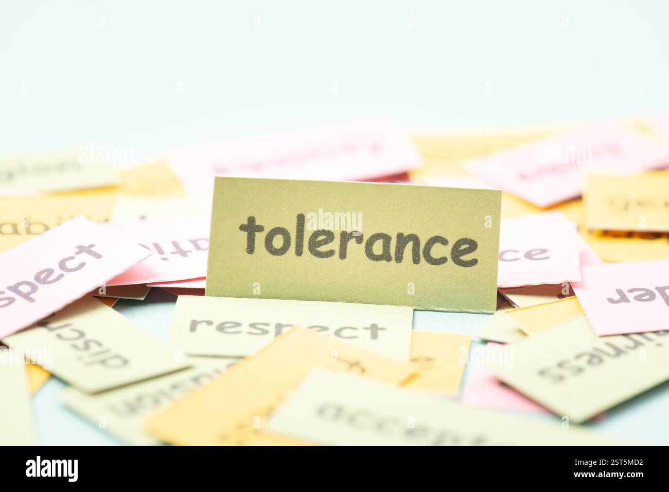 Tolerance, equality and diversity, human rights, justice and hope ...