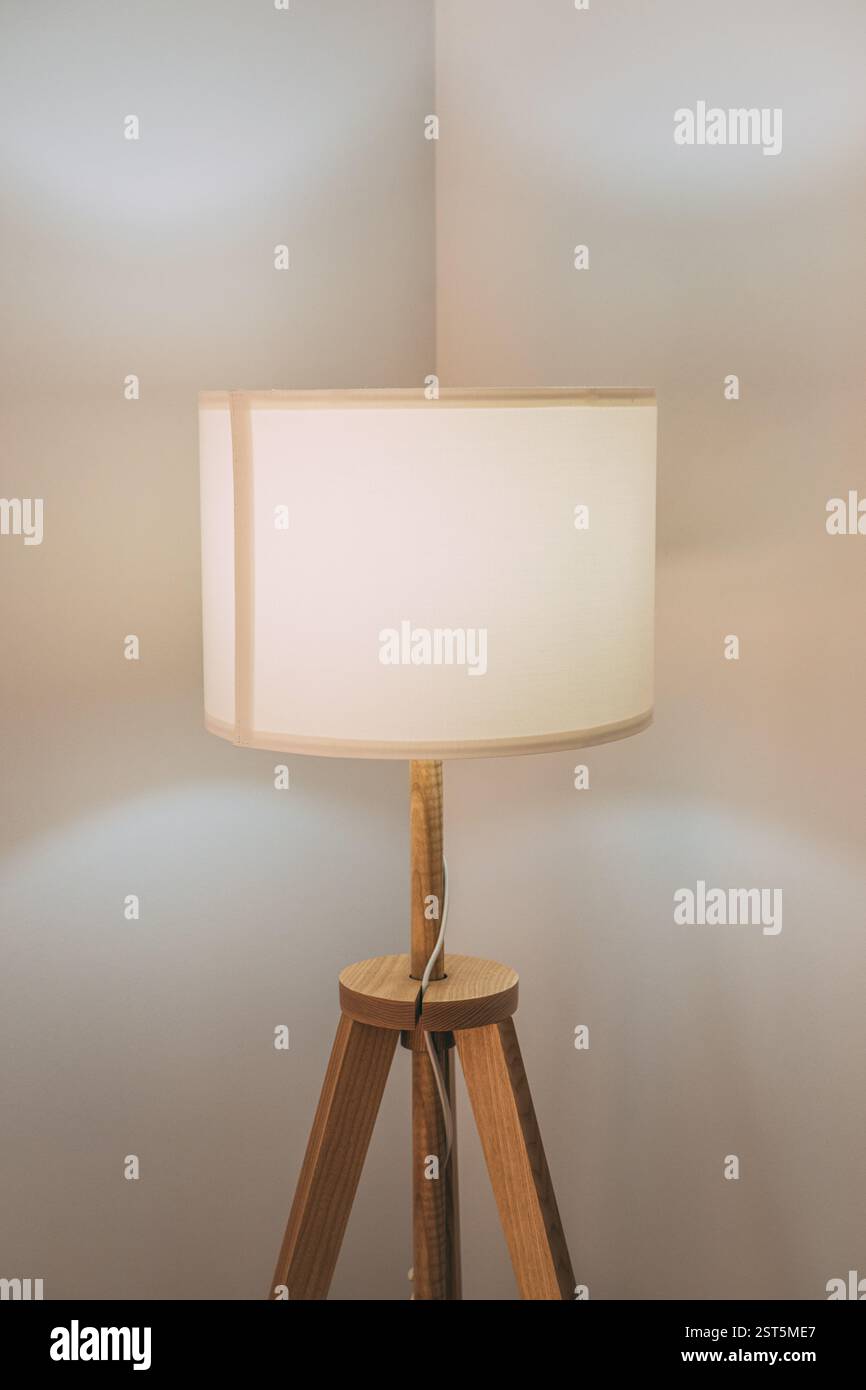 Floor standing lamp with shade casting soft light at dark room interior ...