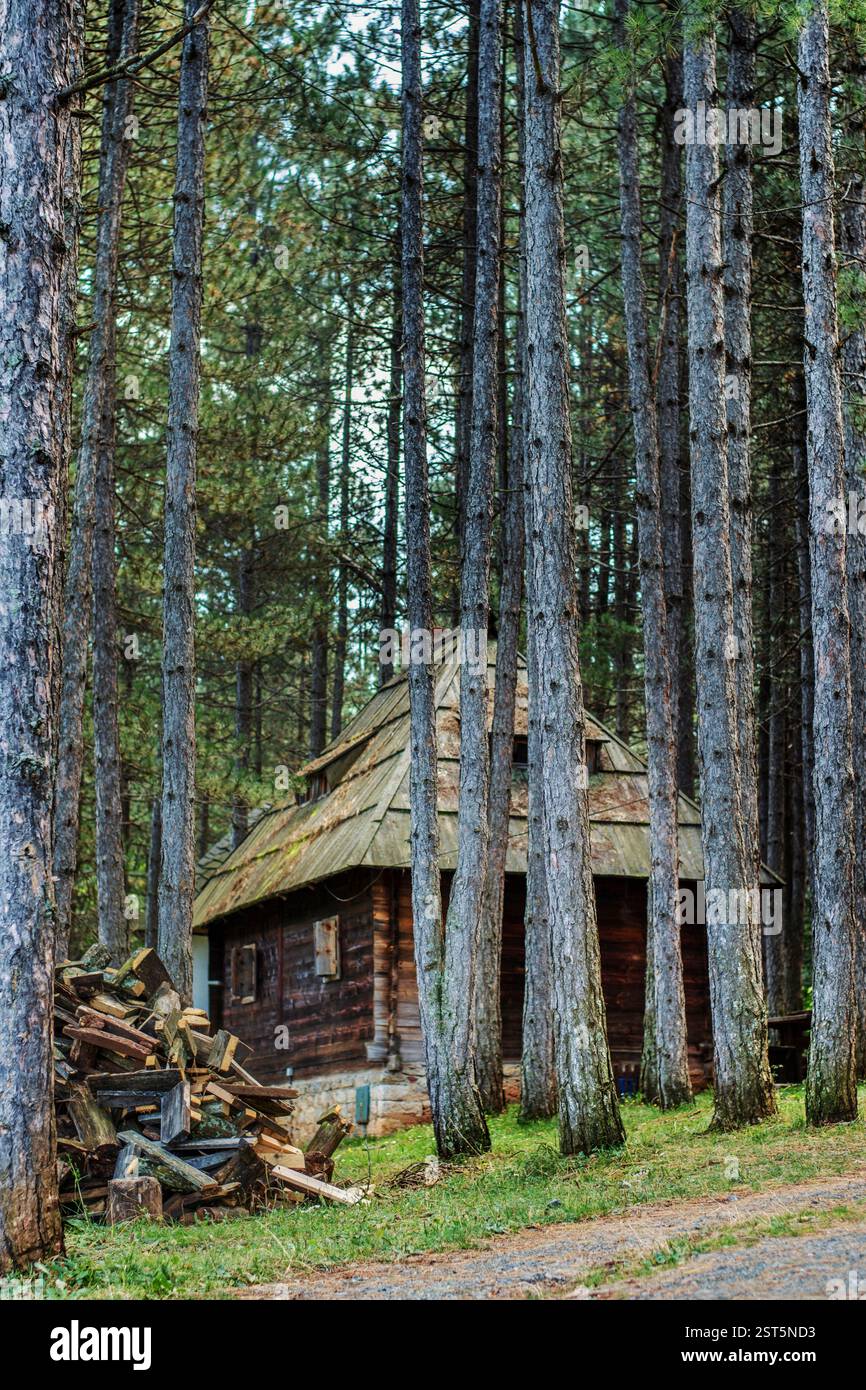 Wooden cottage in the woods Stock Photo - Alamy