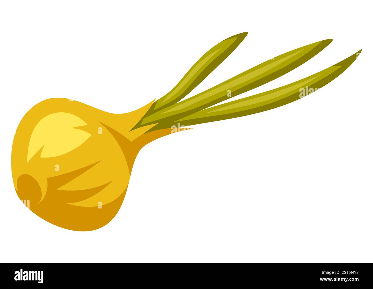 Illustration of onion. Stylized food object for cooking recipe and menu ...