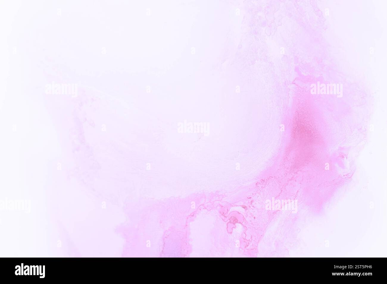 A soft pink backdrop with fluid patterns inspired by Thailand's ...