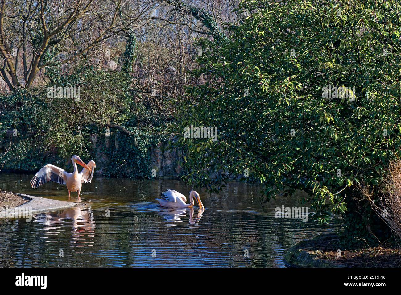 LYON, FRANCE, February 16, 2025 : Located in the heart of Lyon, its 117 ...