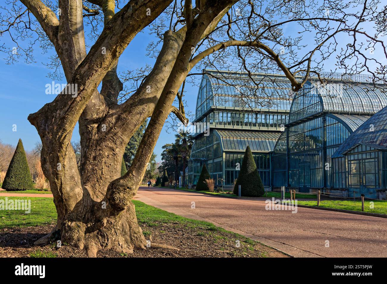 LYON, FRANCE, February 16, 2025 : Les Grandes Serres (great greenhouses ...