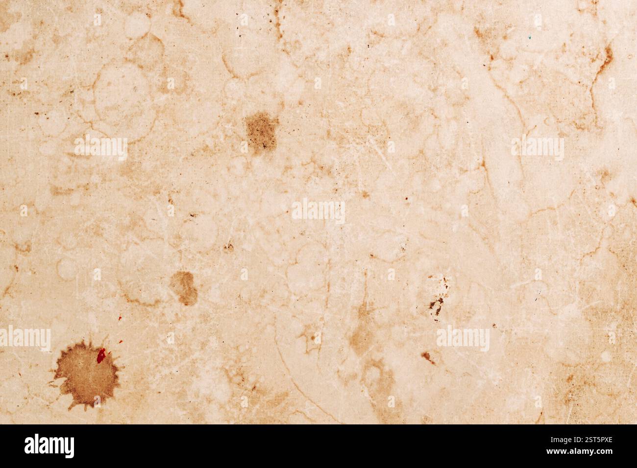 Vintage stained paper with aged texture and brown ink spots. Grunge ...