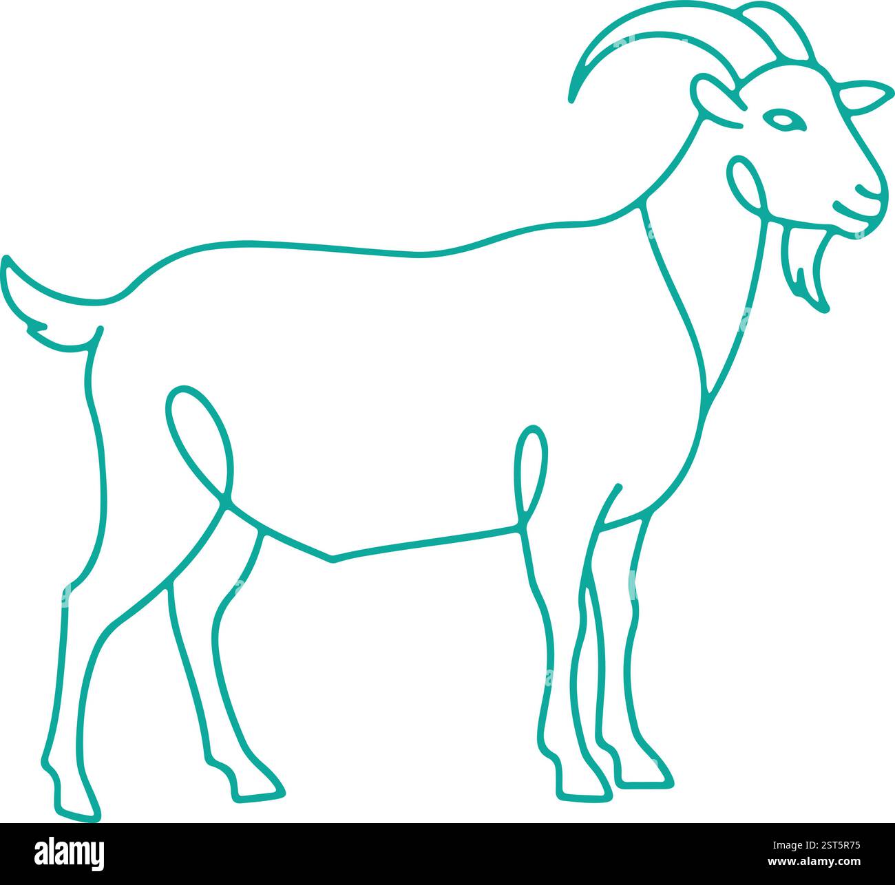 Goat anatomy Cut Out Stock Images & Pictures - Alamy