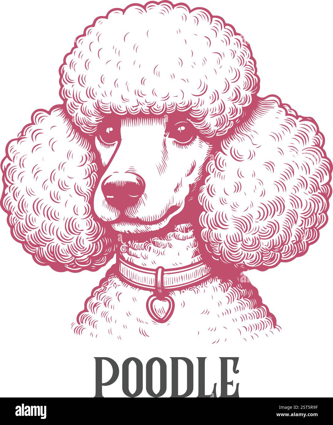 Decorative poodle sketch hi-res stock photography and images - Alamy
