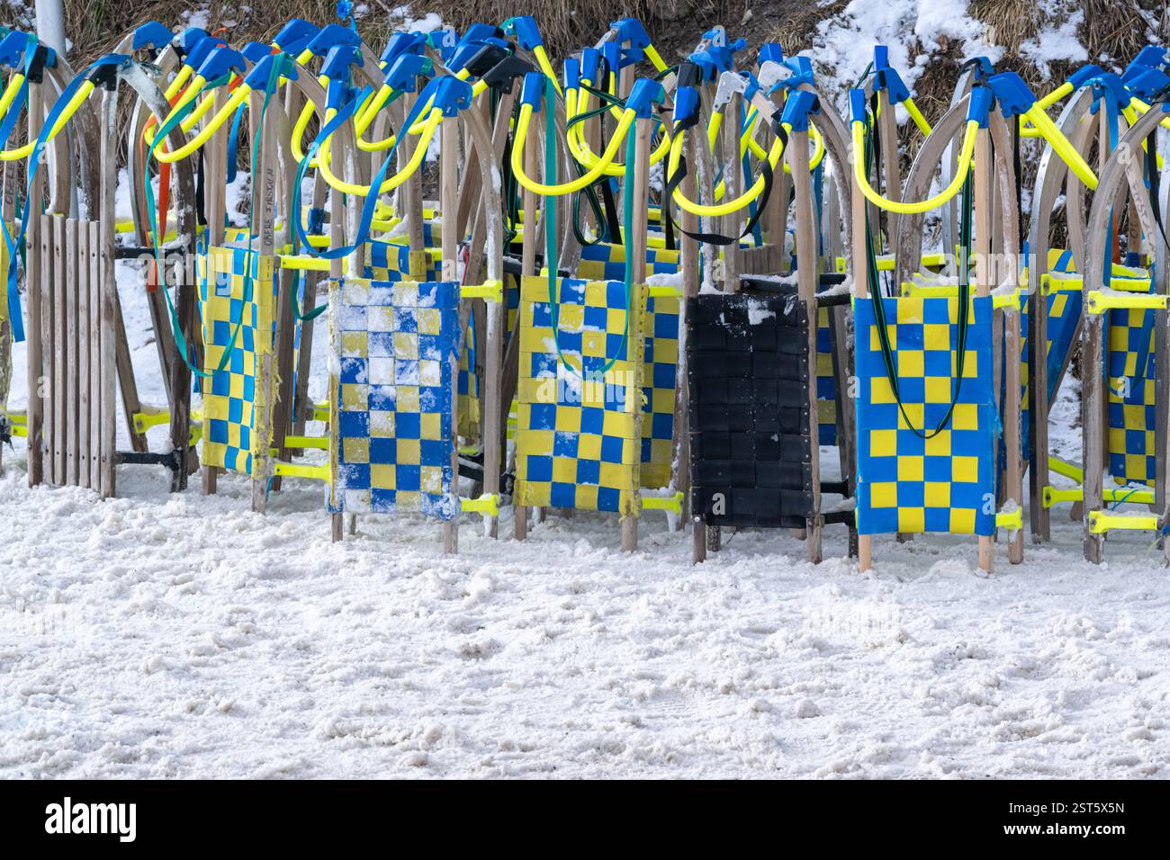 Spitzingsee, Germany. 17th Feb, 2025. Dozens of rental sledges stand ...