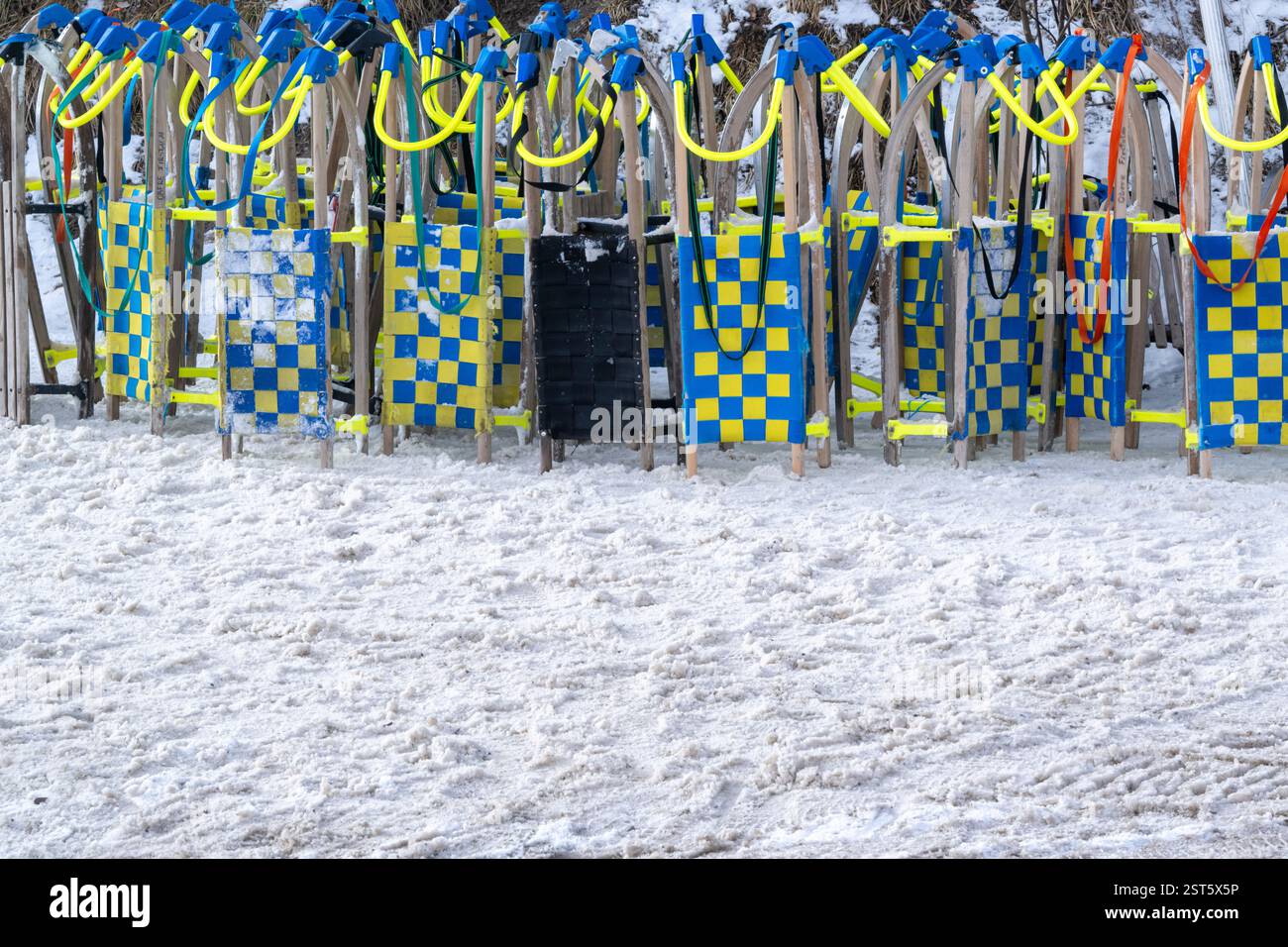 Spitzingsee, Germany. 17th Feb, 2025. Dozens of rental sledges stand ...