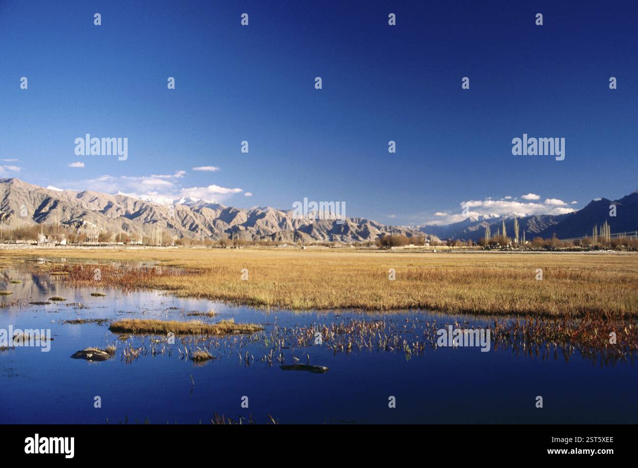 Zanskar mountains and shey village, leh, ladakh, Jammu and Kashmir ...