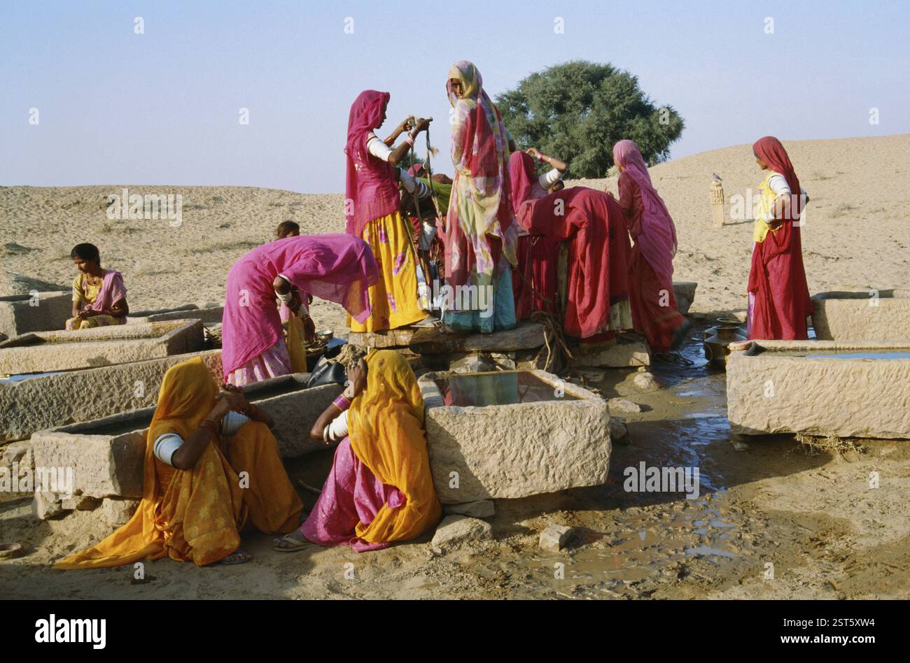 Rajasthani women drawing water form well, Jaisalmer, Rajasthan, India, Asia Stock Photo - Alamy