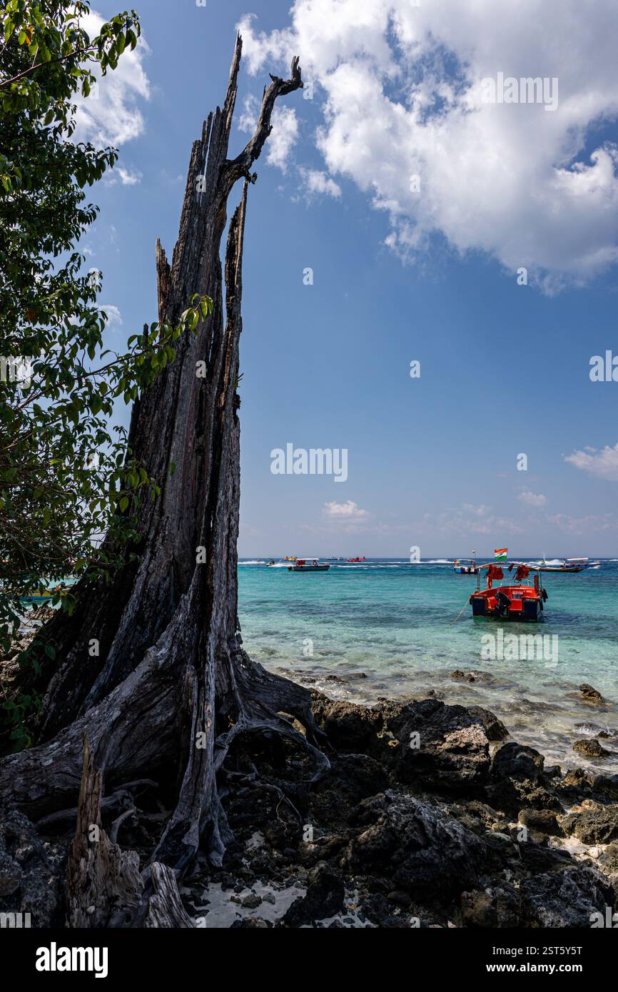Elephant Beach, Havelock Island, Andaman and Nicobar Islands, India ...