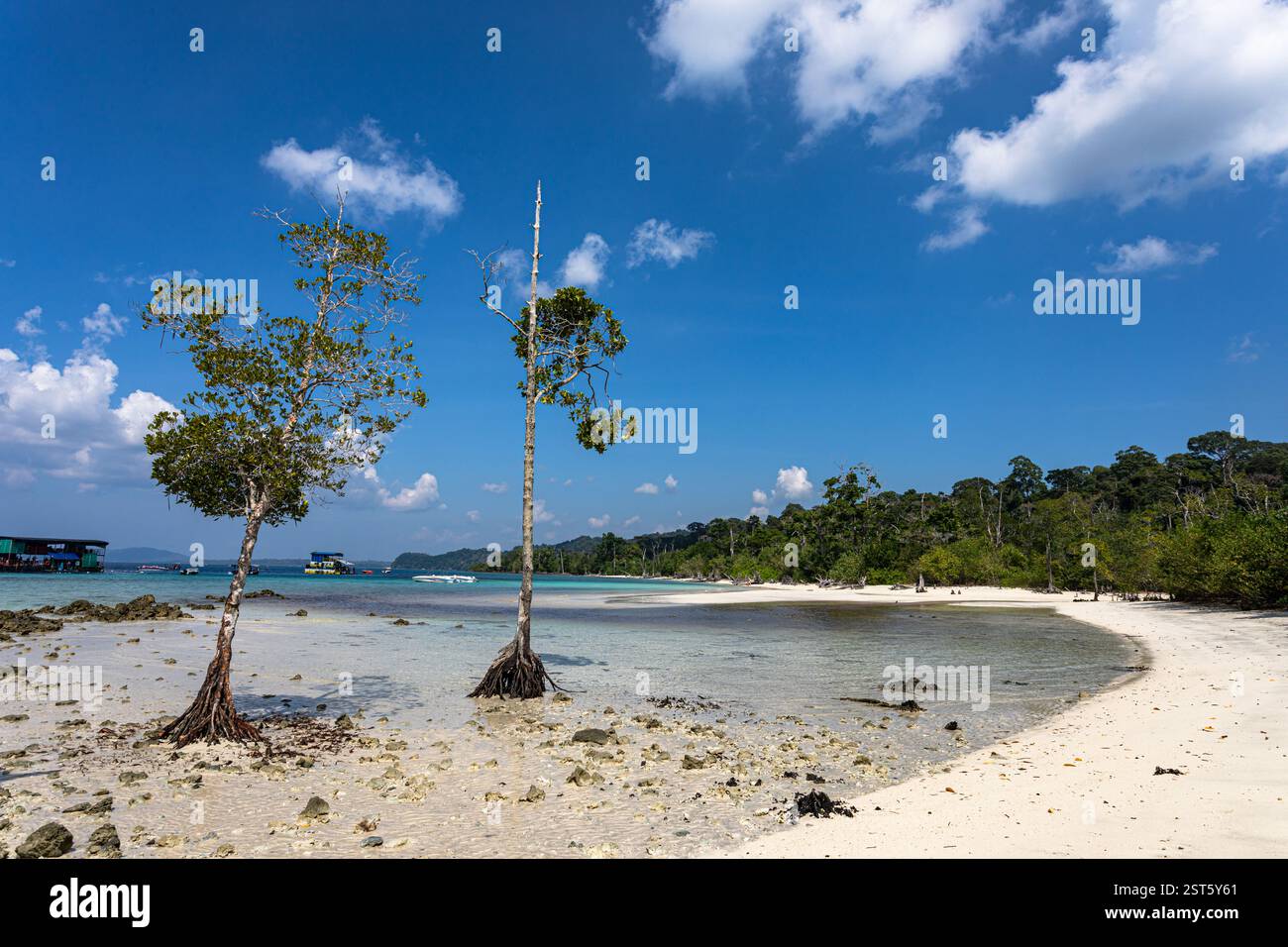 Elephant Beach, Havelock Island, Andaman and Nicobar Islands, India ...