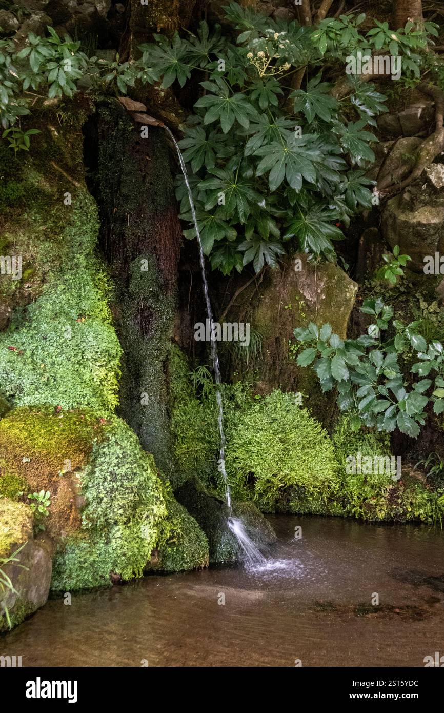 Ginkakuji garden and Jishoji temple grounds in Kyoto Japan Stock Photo ...