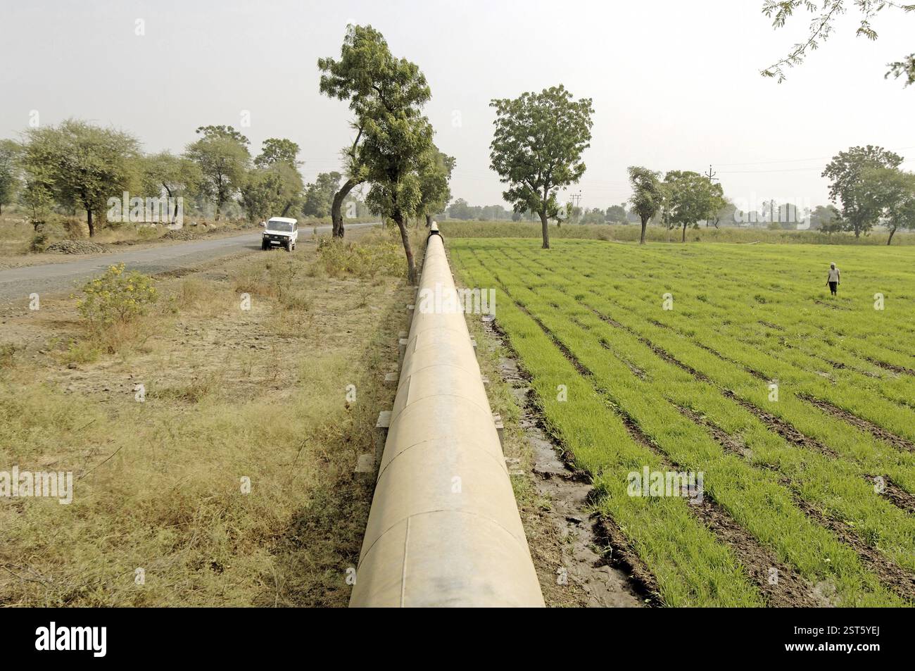 Water pipeline through village fields, Akola, Akot, Maharashtra, India ...