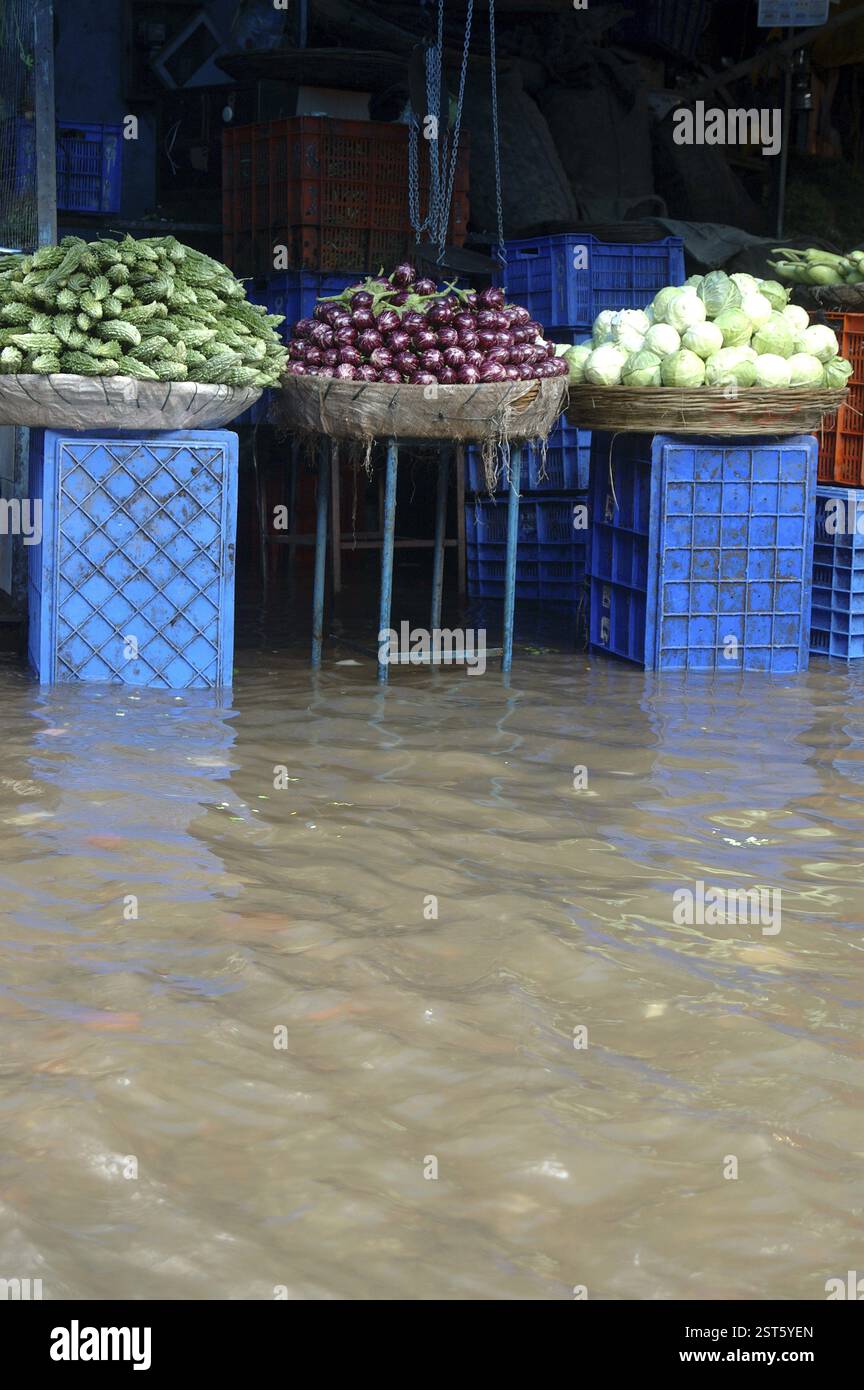 Flood due to heavy rain, Showing rain water accumulated in vegetable ...