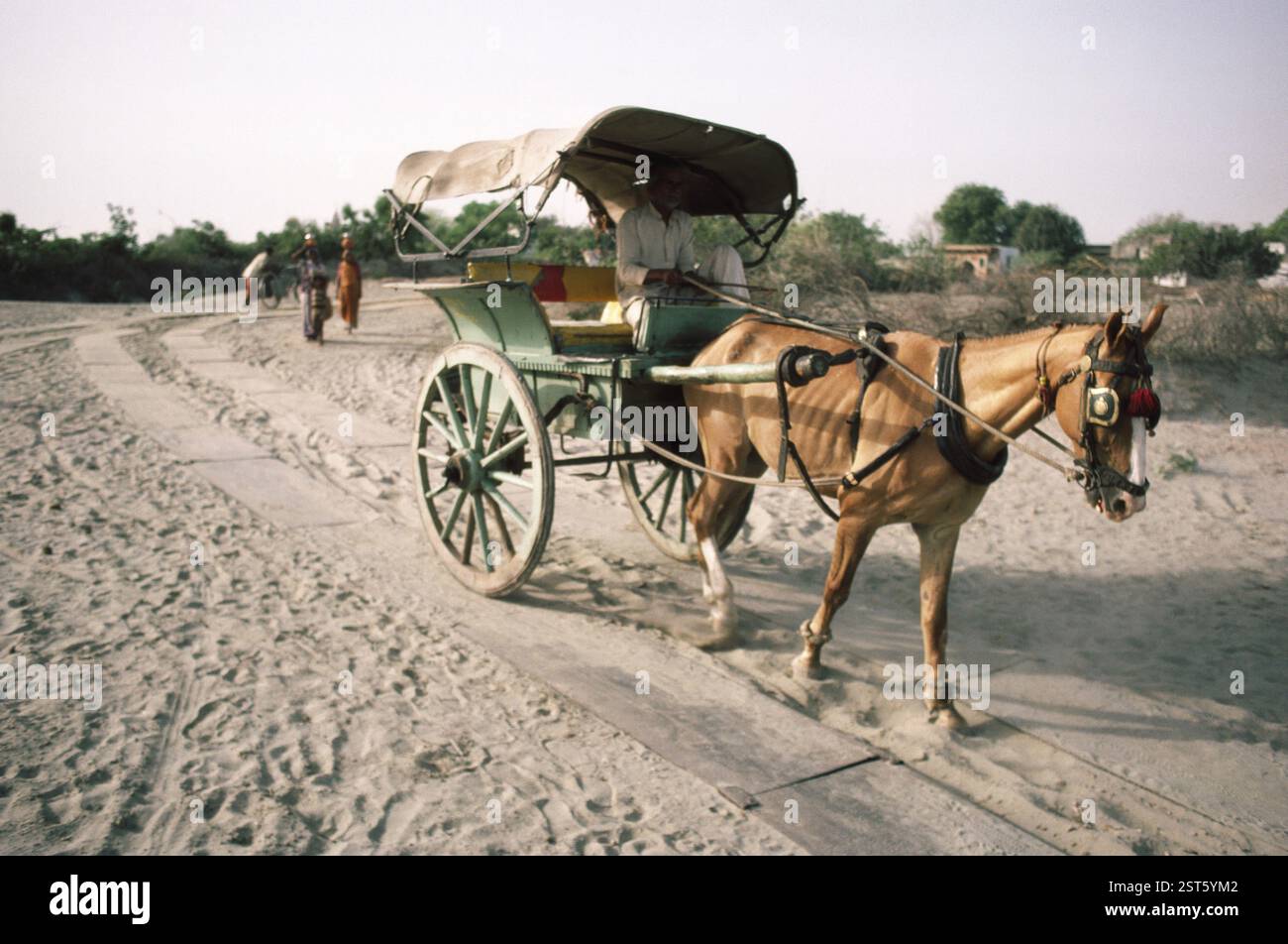 Horsecart, uttar pradesh, india Stock Photo - Alamy