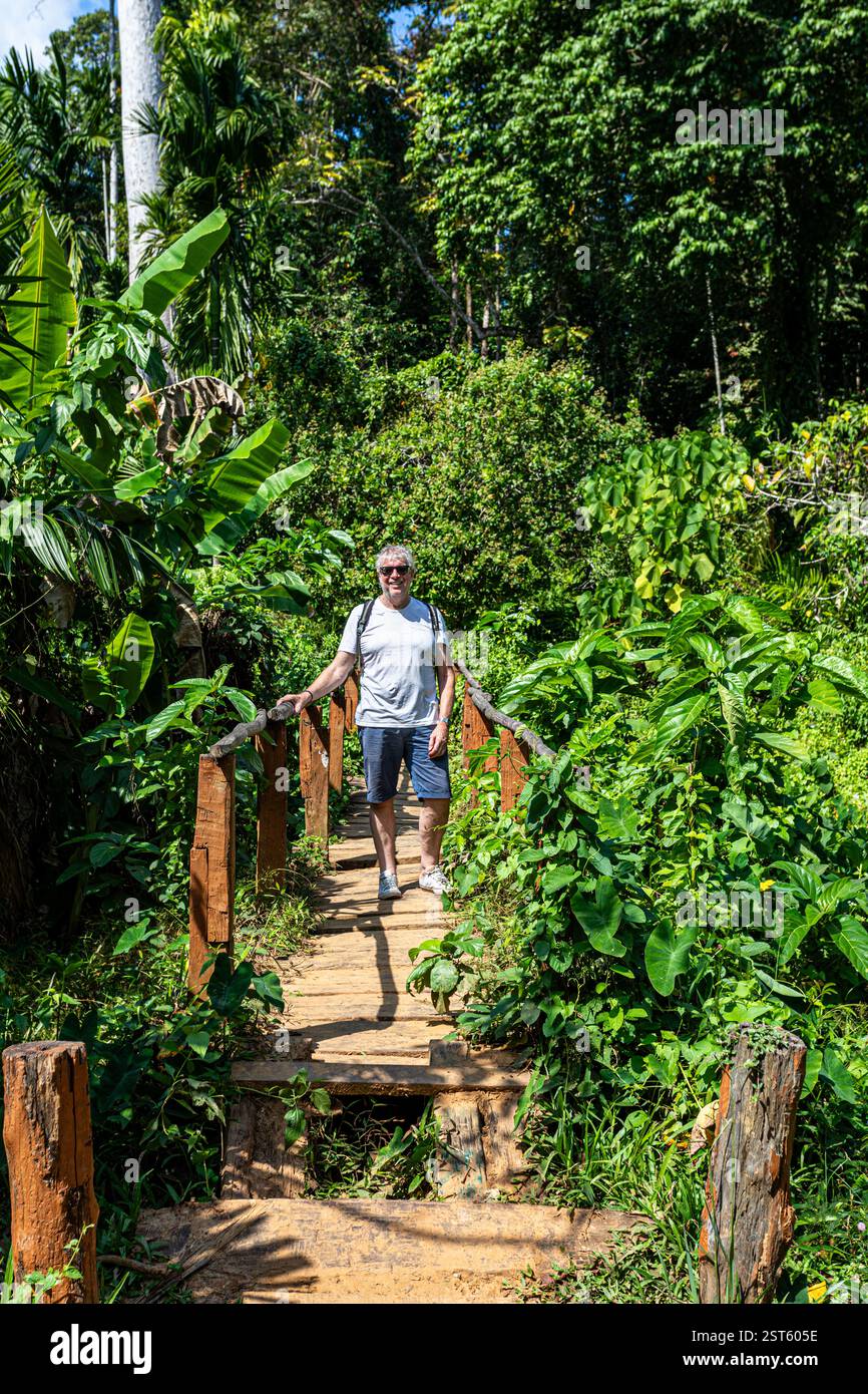 Trek the lush green environs through the tropical jungle to Elephant ...