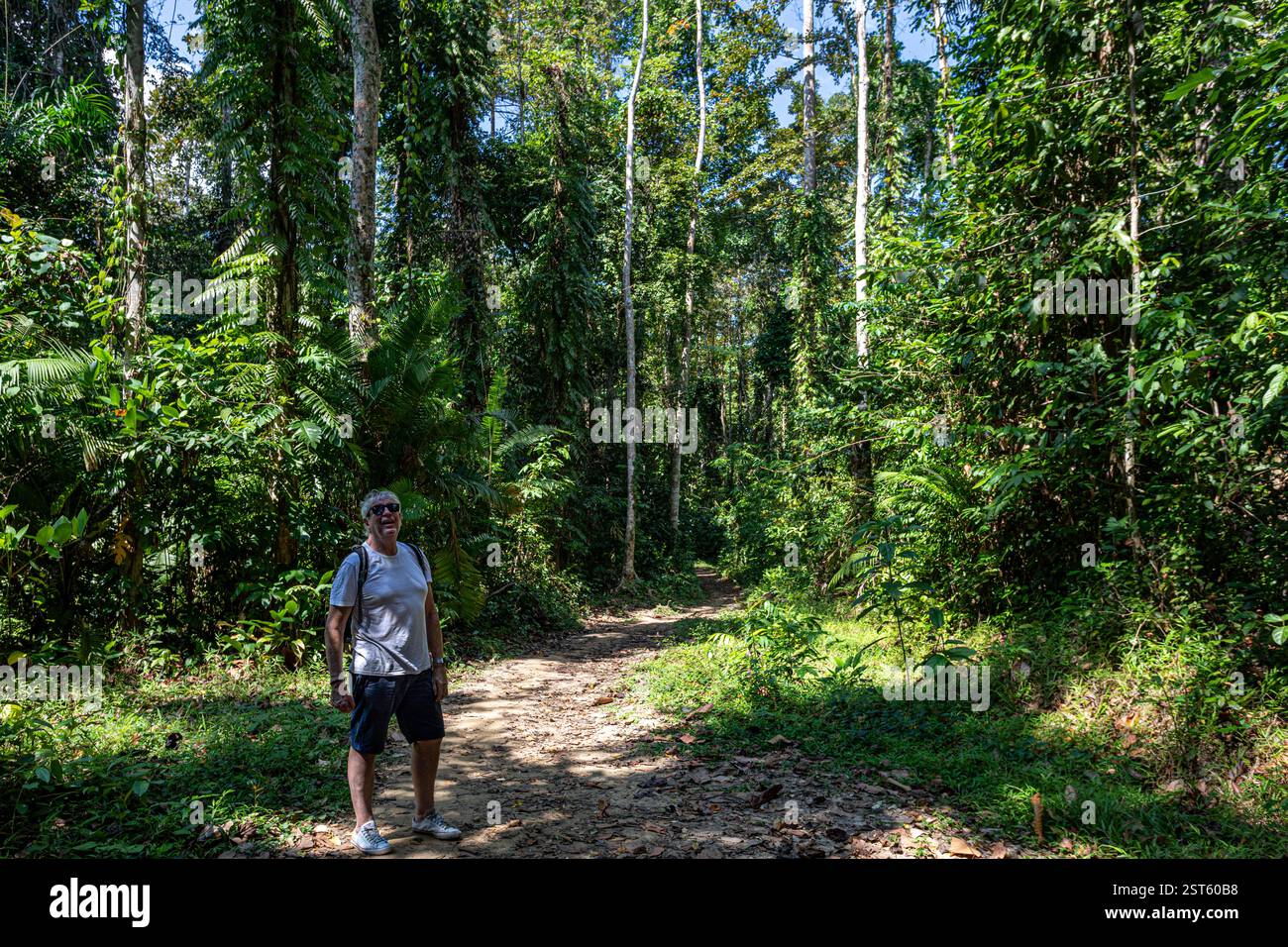 Trek the lush green environs through the tropical jungle to Elephant ...