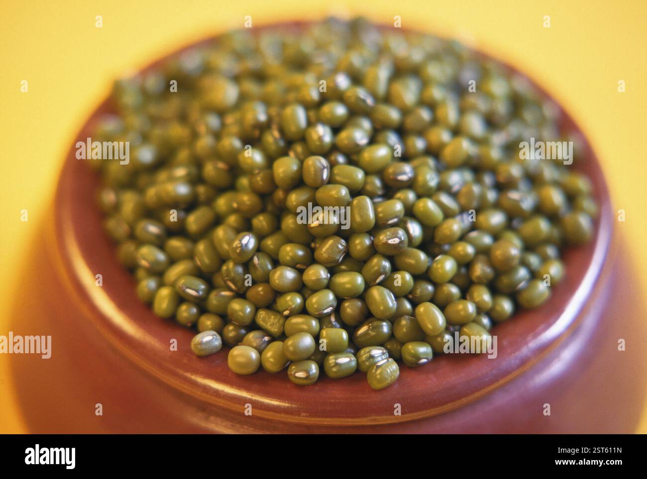 Moong dal farming hi-res stock photography and images - Alamy