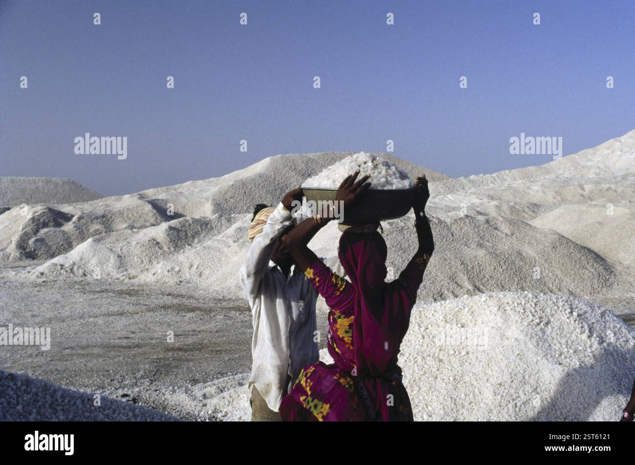 Salt plant, preparing salt hips, little rann of kutch, gujarat, india ...