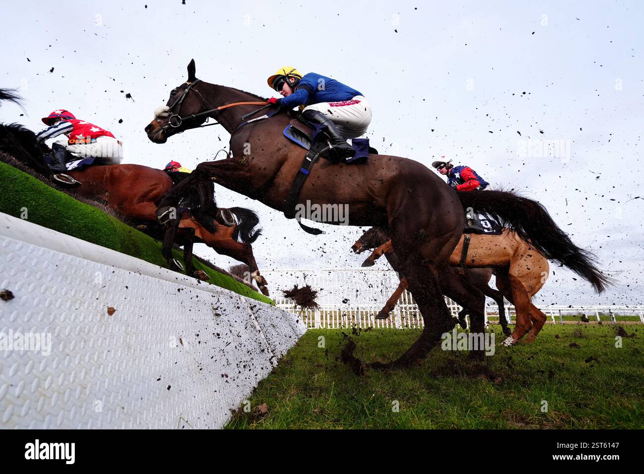 Salt Rock ridden by Thomas Bellamy during the Grace And Dotty Fedora's ...