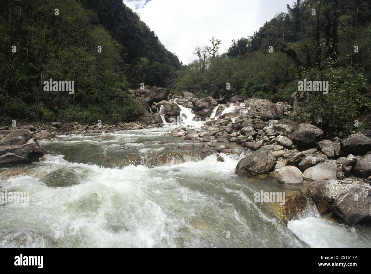 Flowing river sikkim india hi-res stock photography and images - Alamy