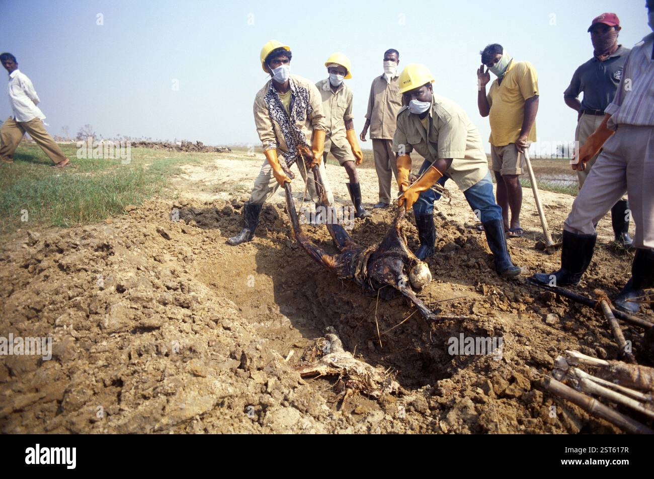 Orissa 1999 hi-res stock photography and images - Alamy