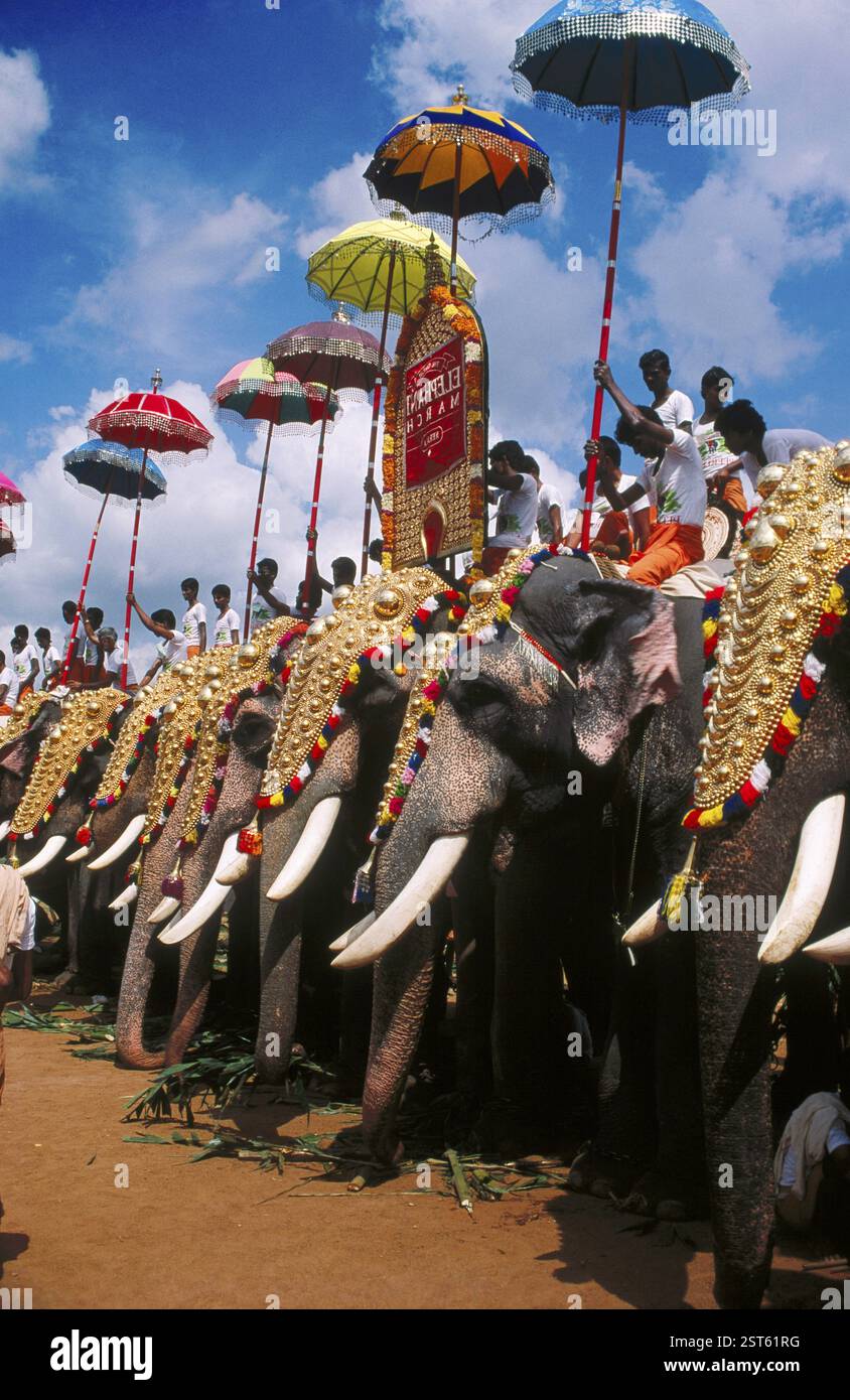 Trichurpooram pooram, Elephants March procession of bejeweled temple ...