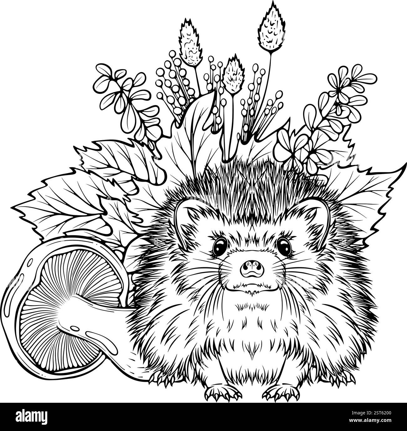 Hedgehog kids Black and White Stock Photos & Images - Alamy