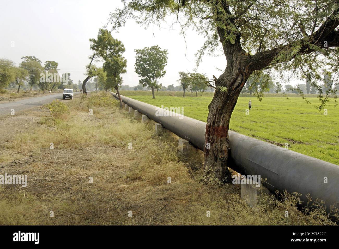 Water pipeline through village fields, Akola, Akot, Maharashtra, India ...