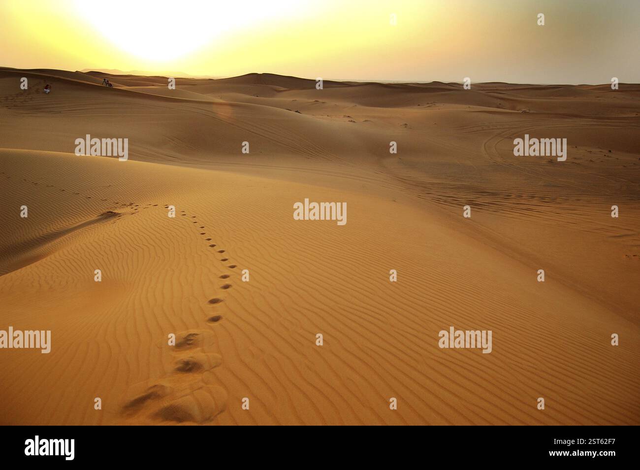 Dubai plains hi-res stock photography and images - Alamy