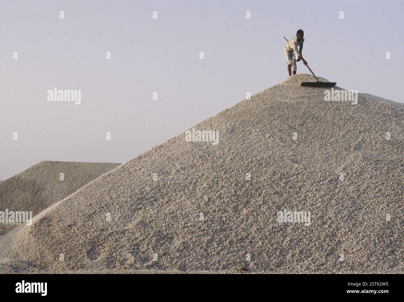 Salt plant, preparing salt hips, little rann of kutch, gujarat, india ...