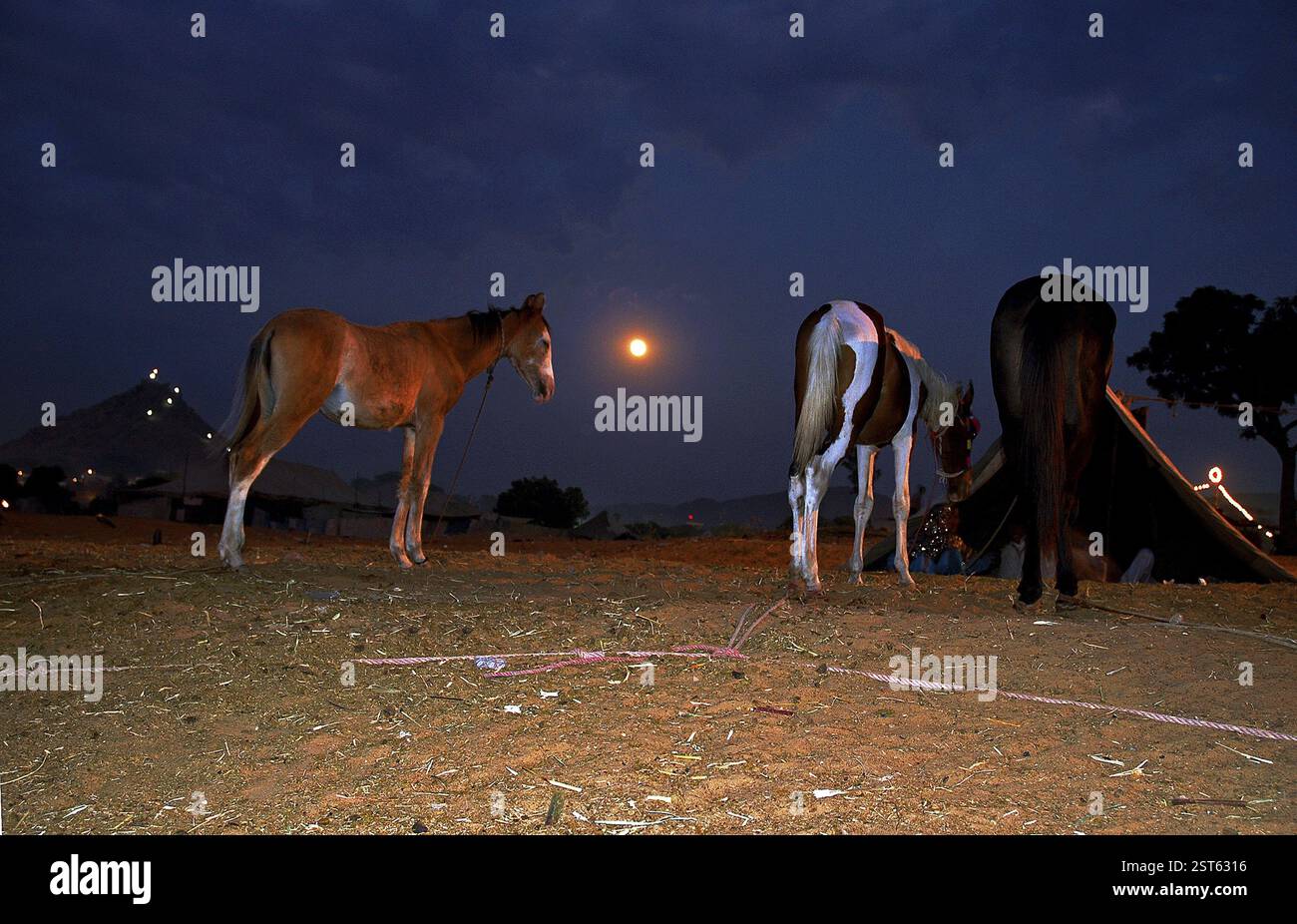 Moonlight in india hi-res stock photography and images - Alamy