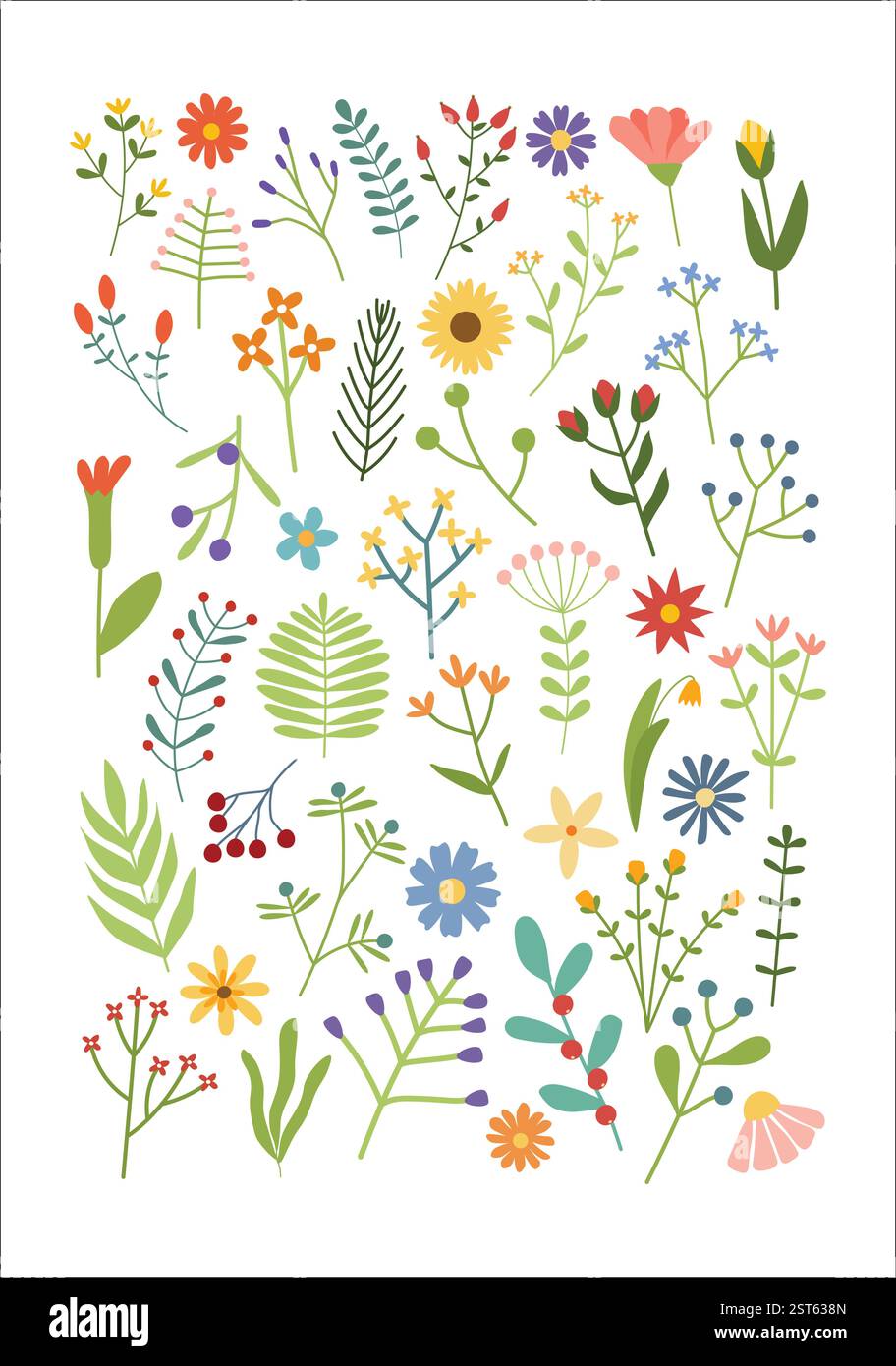 Vector illustration of a various wild flowers Stock Vector Image & Art ...