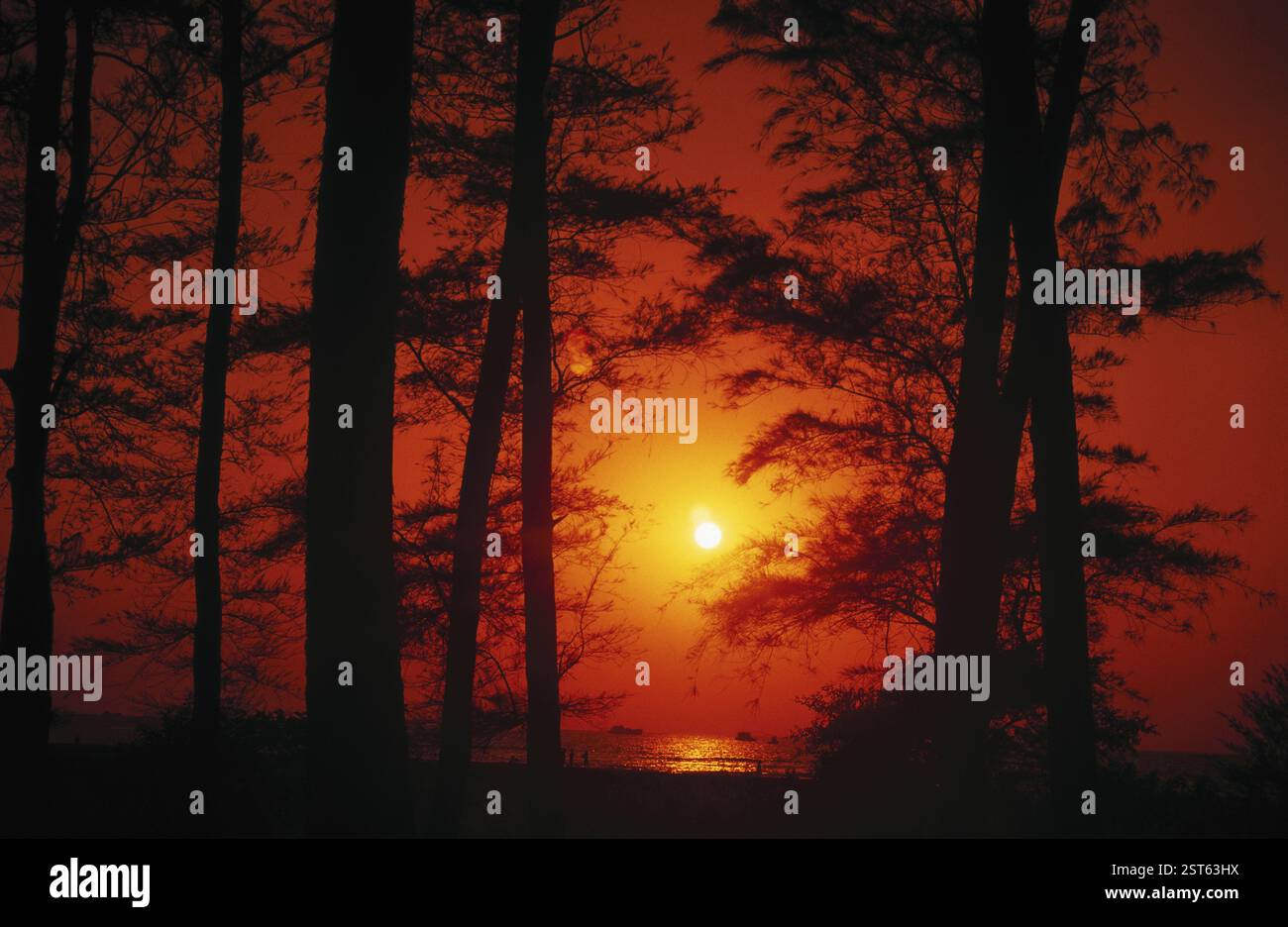 Sunset at Miramar beach, panjim, goa, india Stock Photo - Alamy