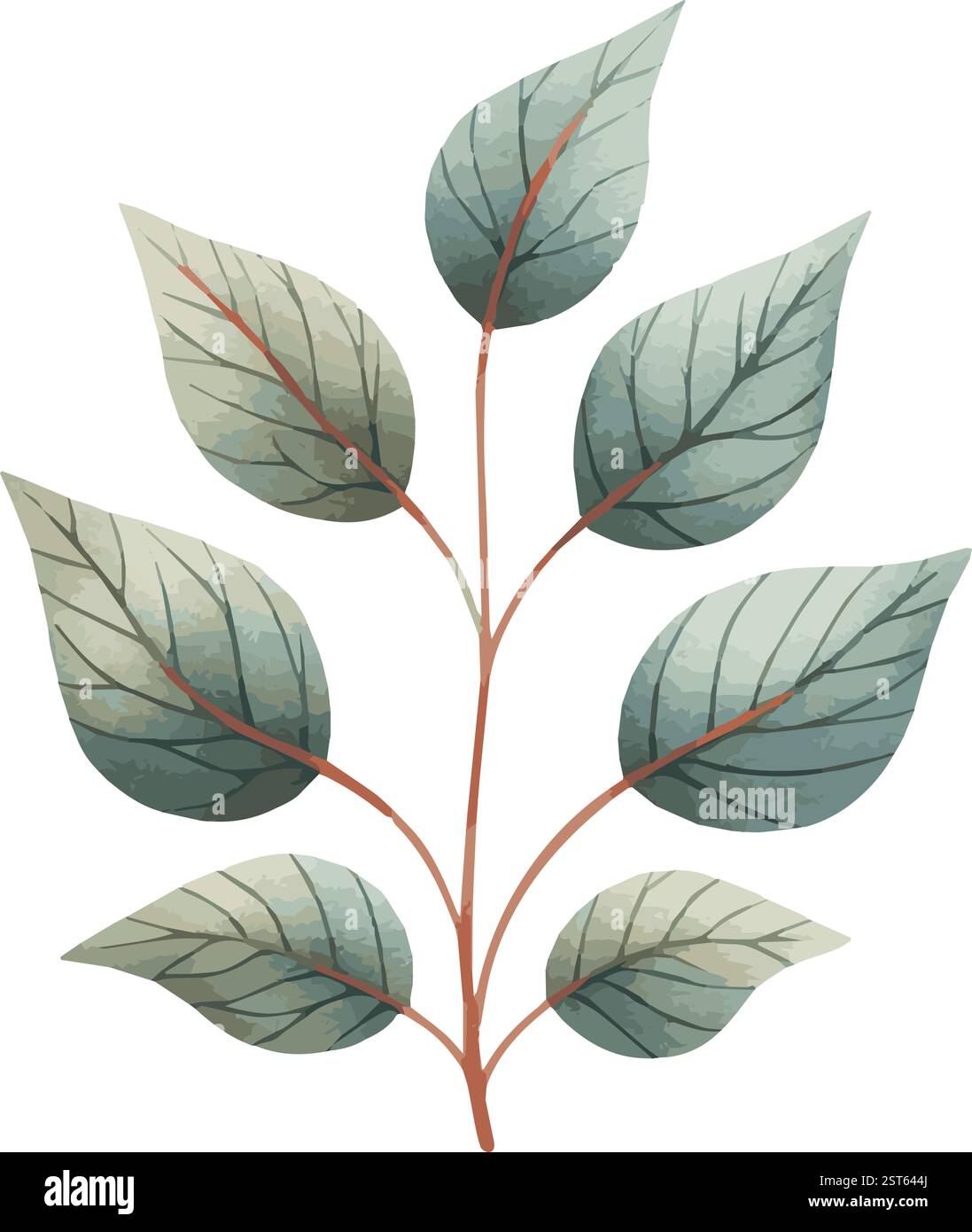 Ornamental green vegetation Stock Vector Images - Alamy