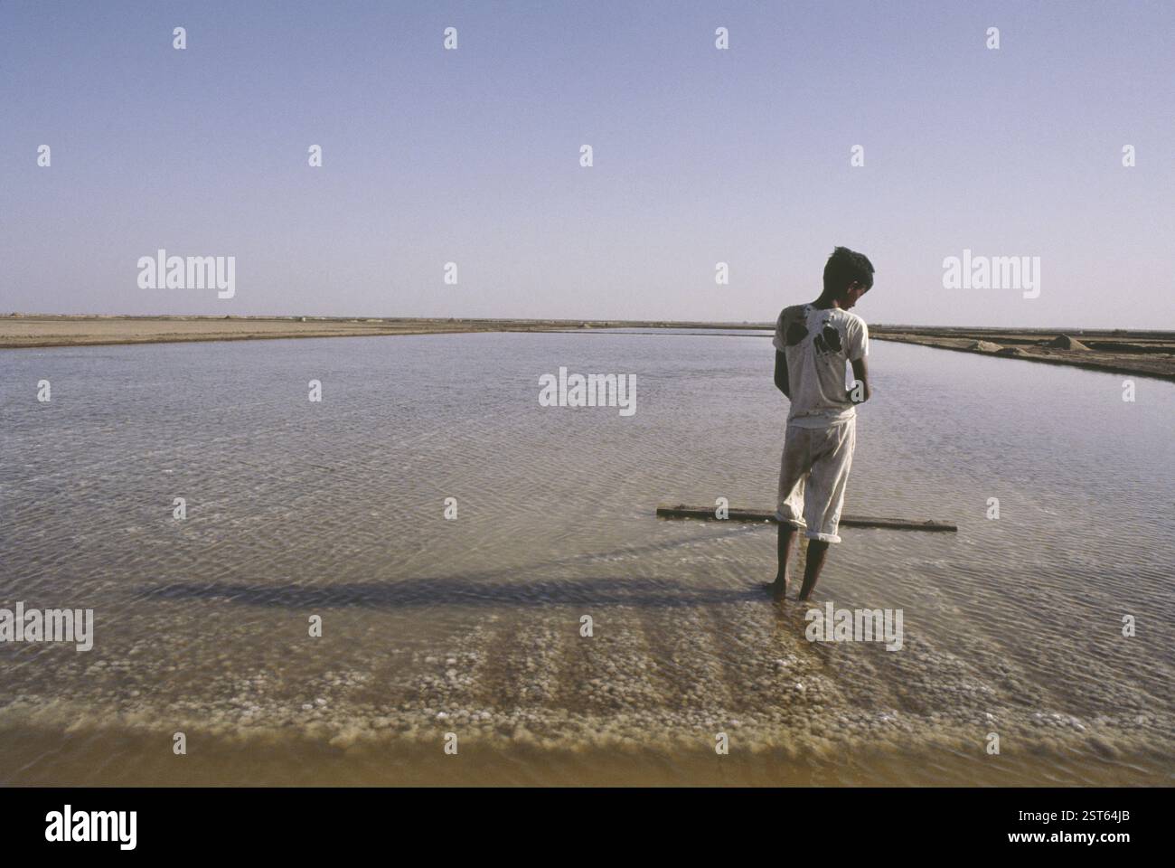 Salt plant, breaking the crust in the salt pans, little rann of kutch ...