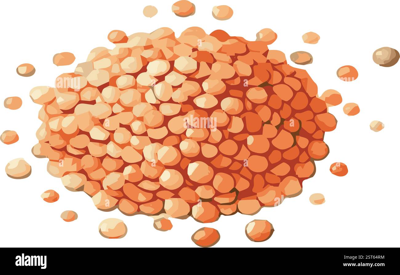 Red lentils lentils Stock Vector Images - Alamy