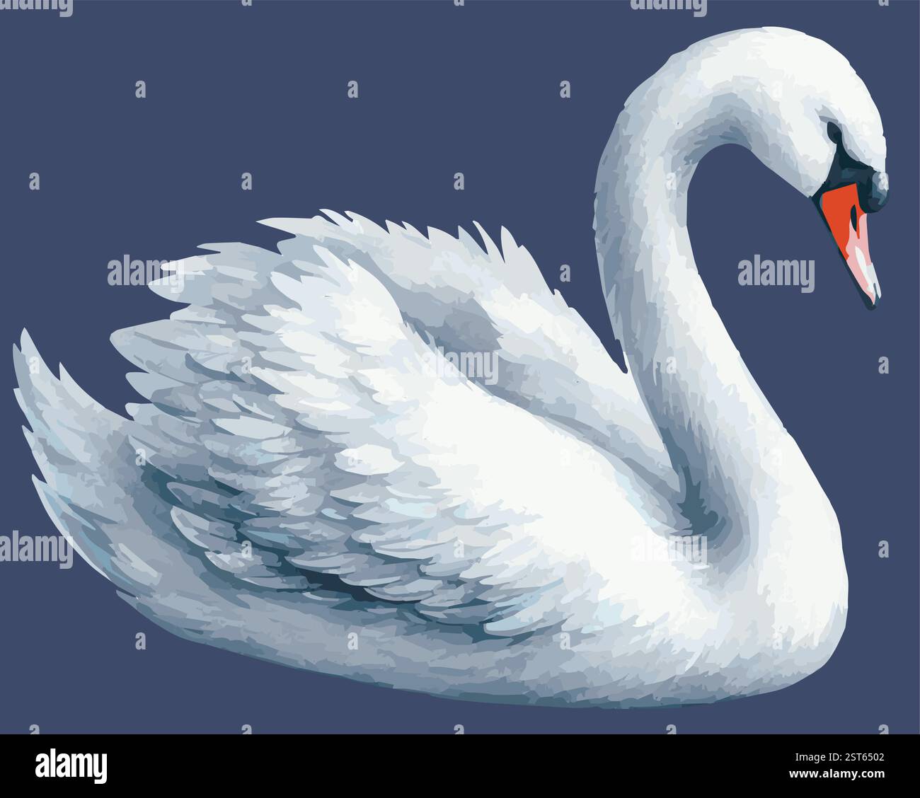 Watercolor Vector Illustration of a realistic white swan Stock Vector ...