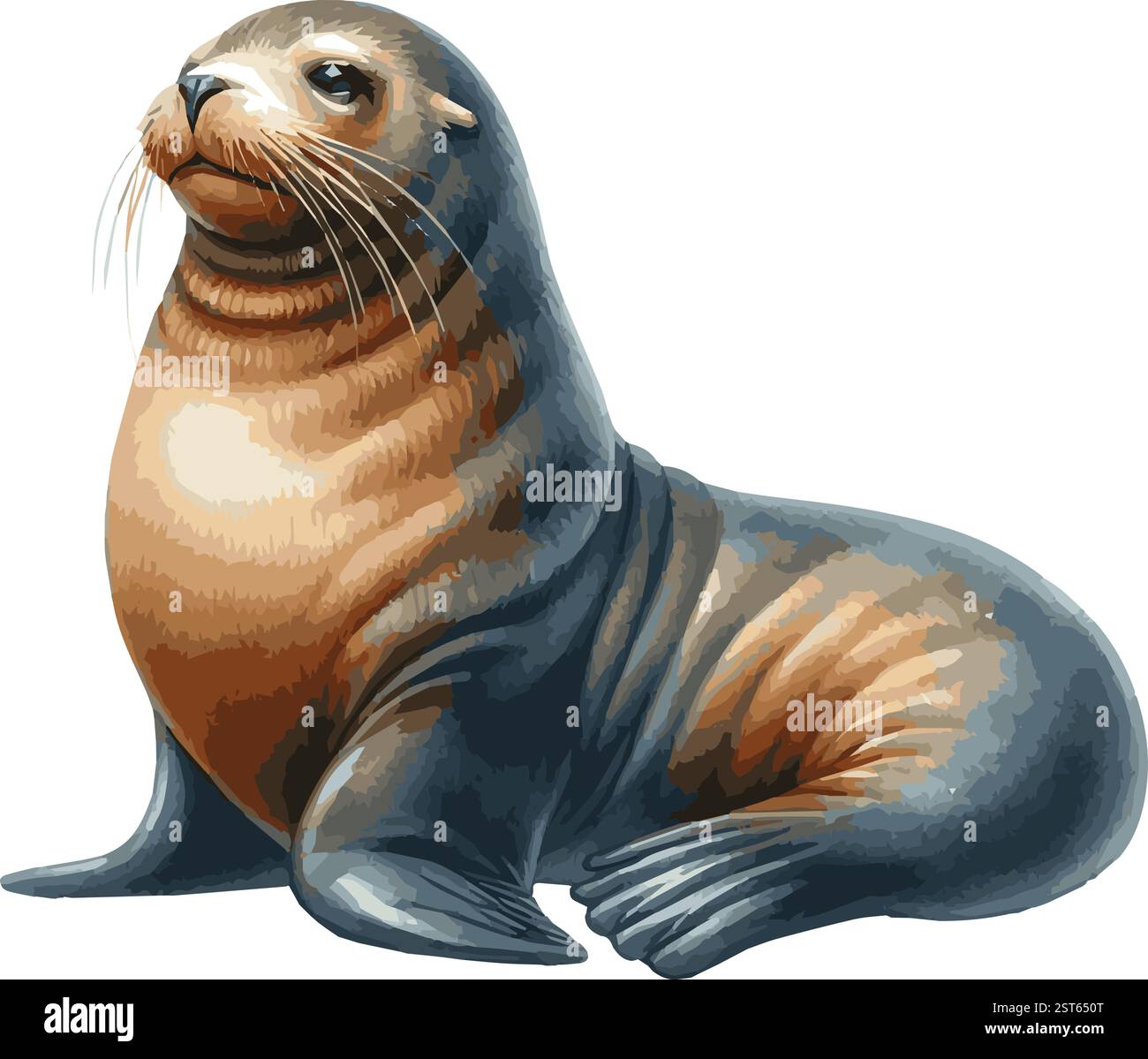watercolor realistic illustrated one seal on white background Stock ...