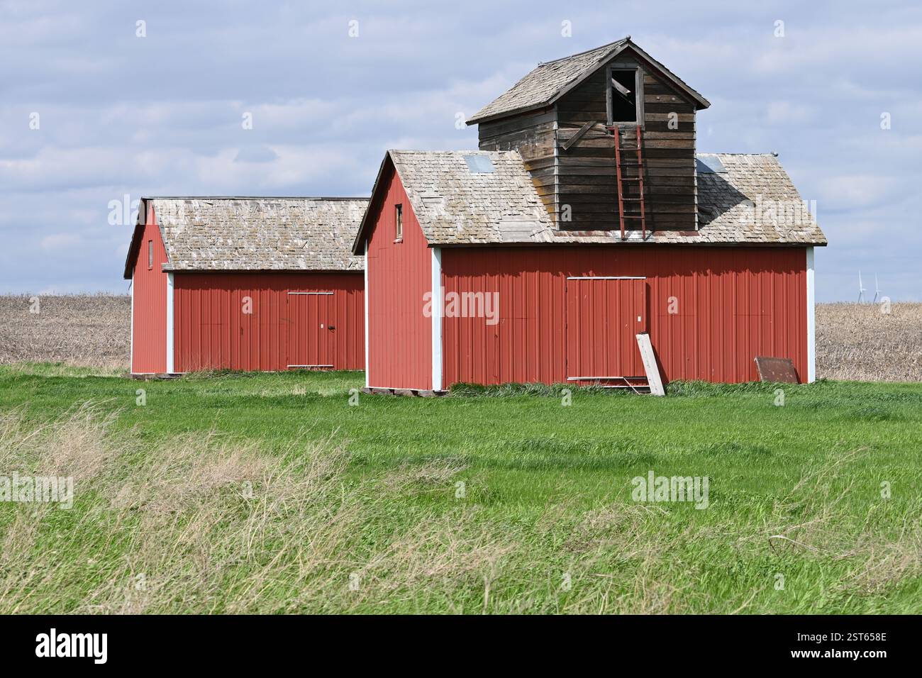Red Bin Grass Waving Stock Photo - Alamy