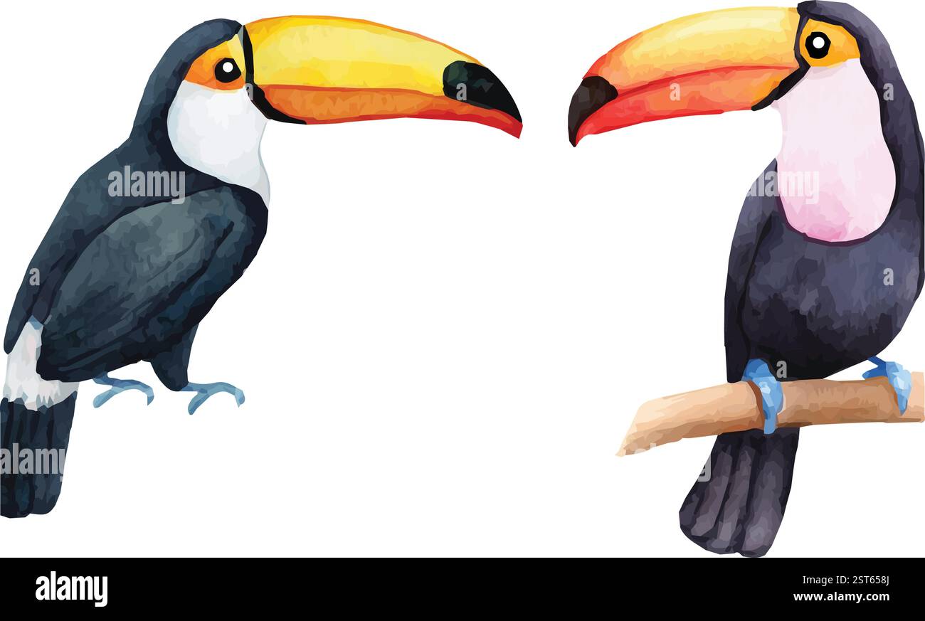 Vector watercolor illustrated set of two toucan birds Stock Vector ...
